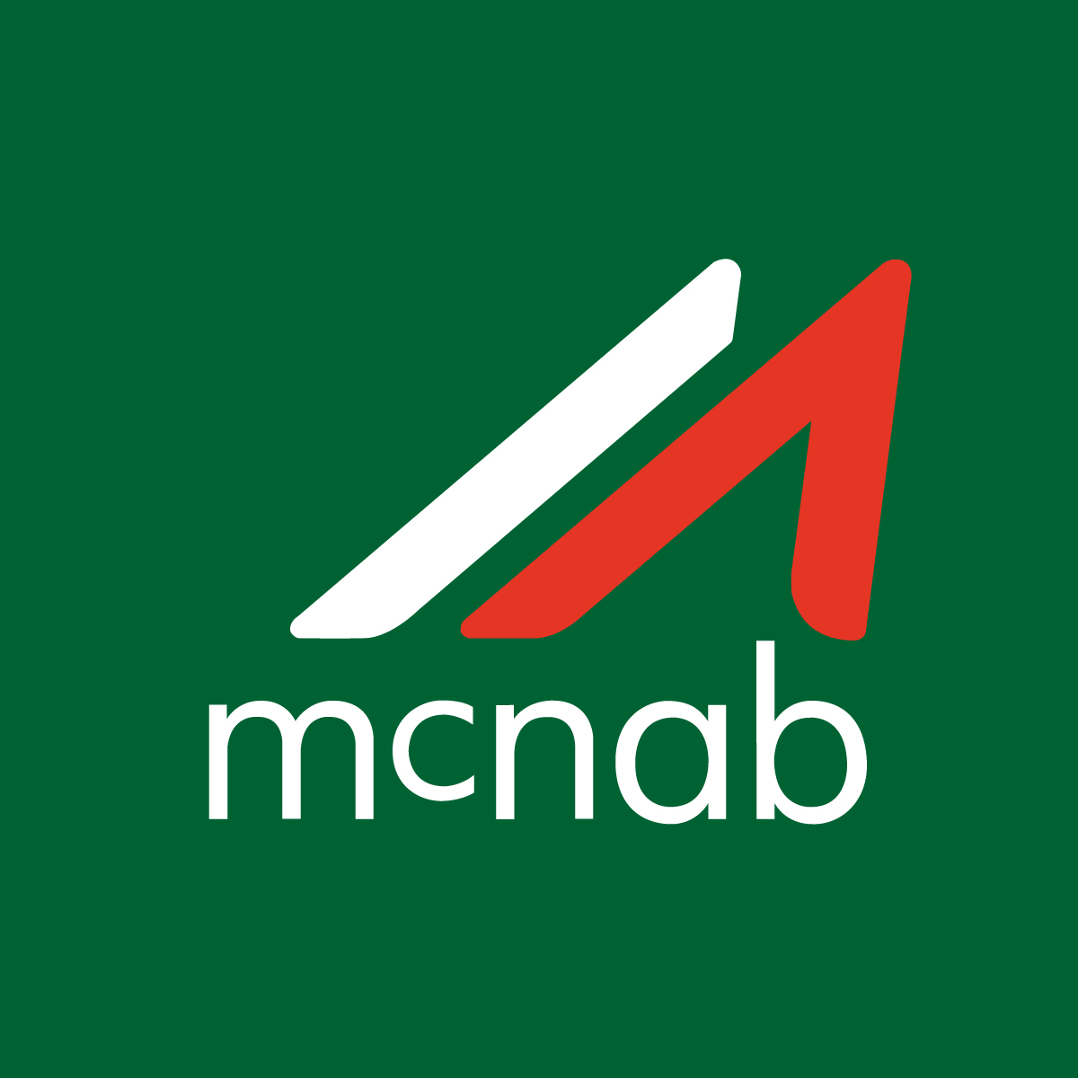 McNab - The Oracle Boulevard